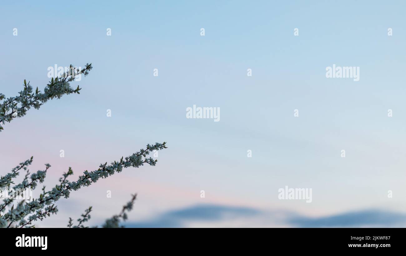 beautiful colored photograph of a spring object Stock Photo - Alamy