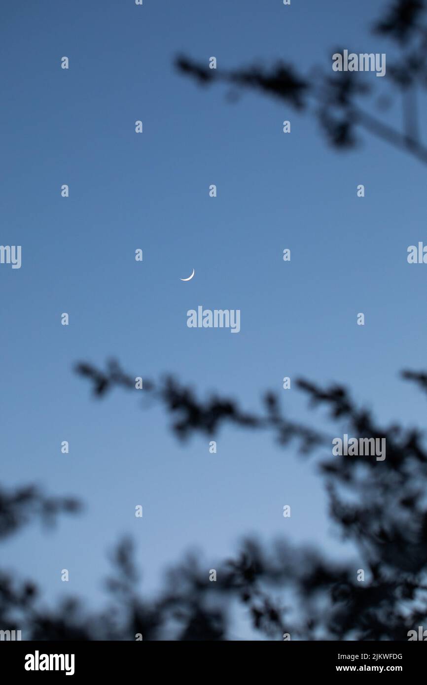 beautiful colored photograph of a spring object Stock Photo - Alamy