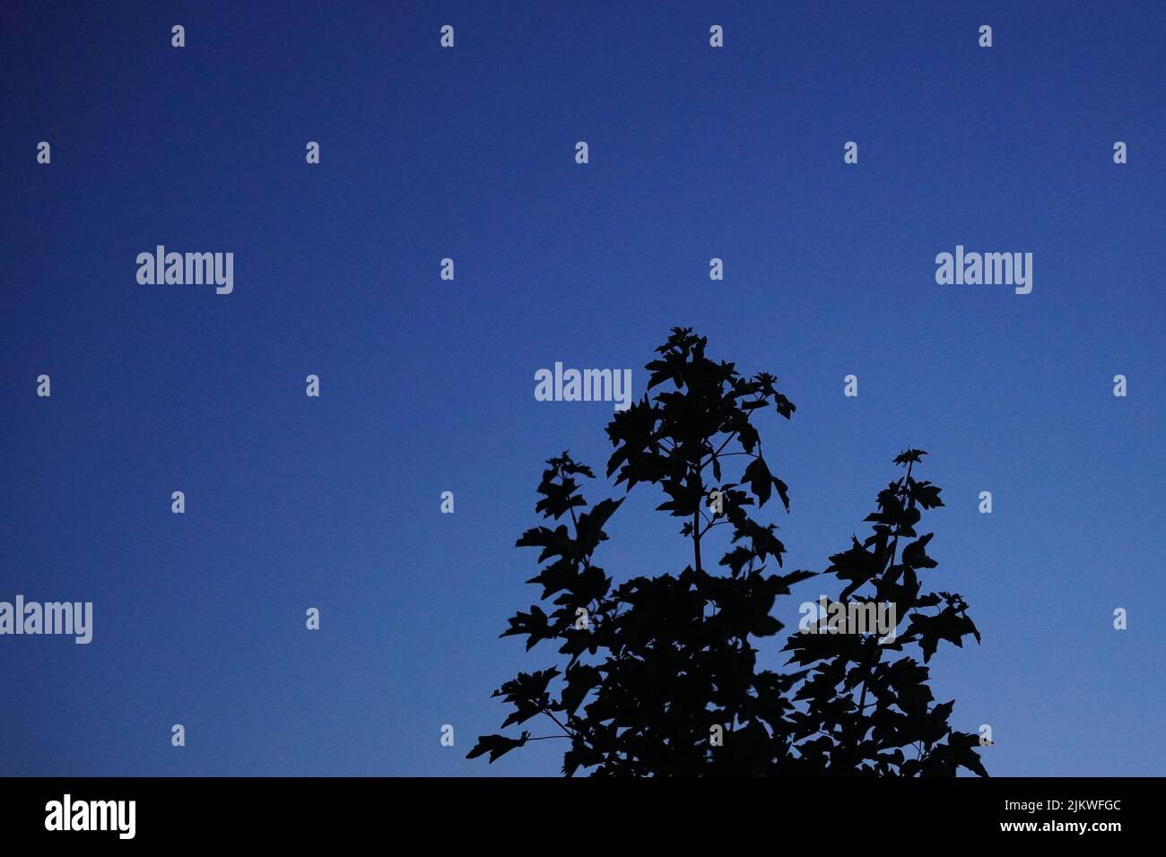 beautiful colored photograph of a spring object Stock Photo - Alamy