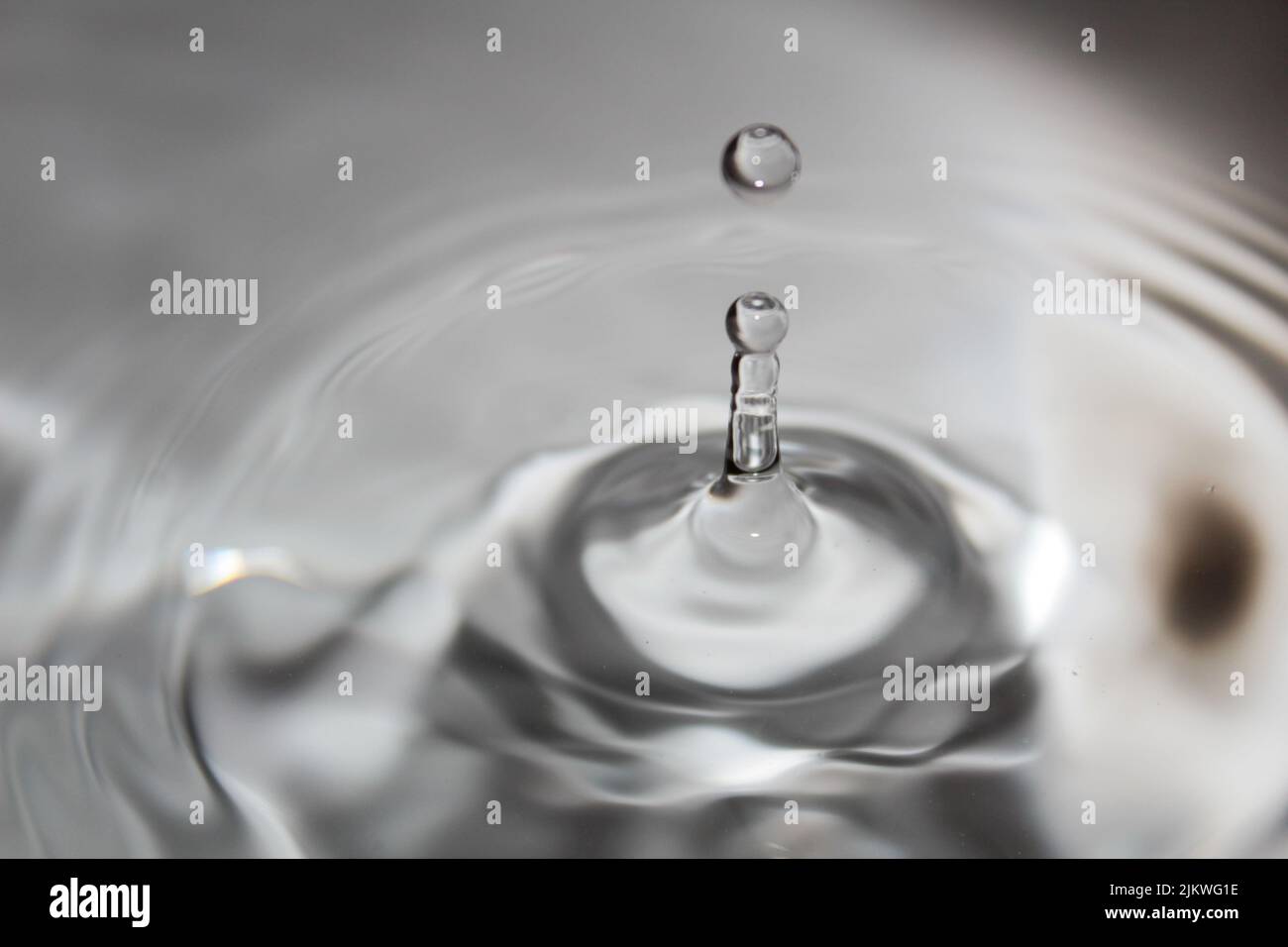 A grayscale closeup of a drop of water hitting a water surface Stock ...
