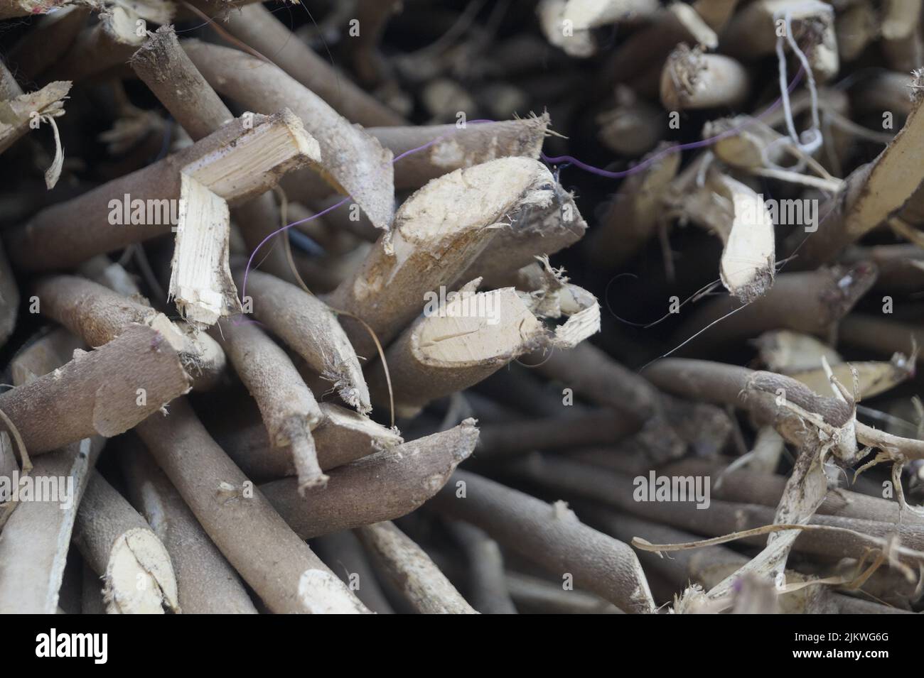 A close-up shot of a pile of dry cut small tree trunks and wooden ...
