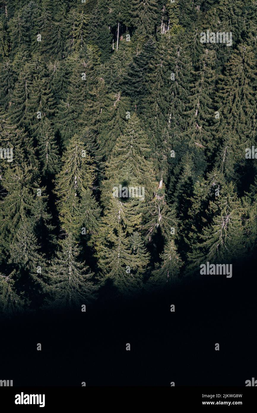 Vertical full view hi-res stock photography and images - Alamy