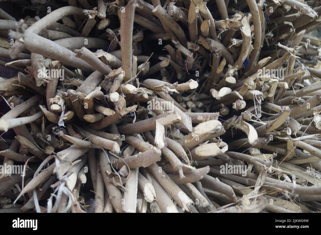 A close-up shot of a pile of dry cut small tree trunks and wooden ...