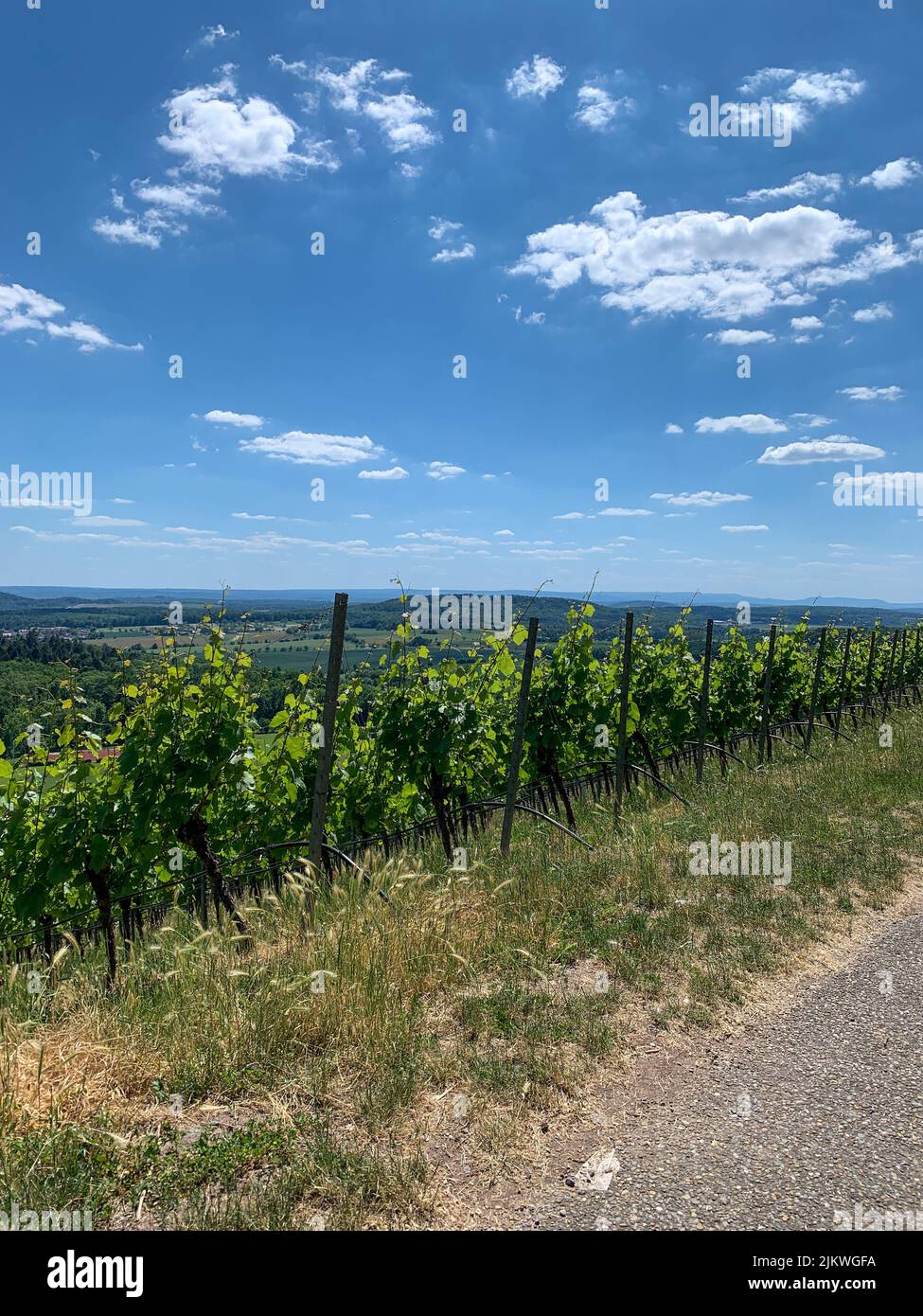 Rural vineyard hi-res stock photography and images - Alamy
