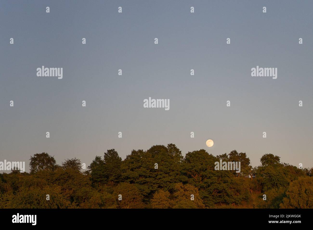 A horizontal shot of a forest on a background of a moon in a clear sky ...