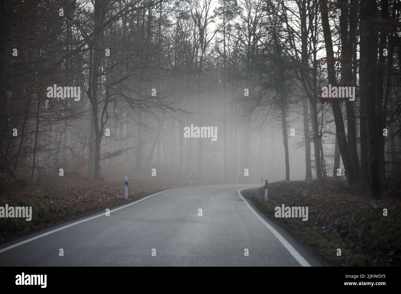 A foggy scenery of road through the forest Stock Photo - Alamy