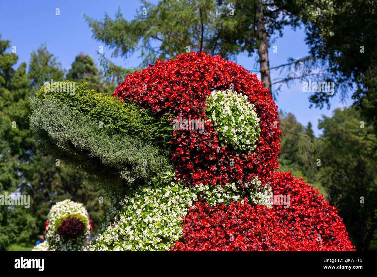 The flower ducks on the island of Mainau on Lake Constance Stock Photo ...