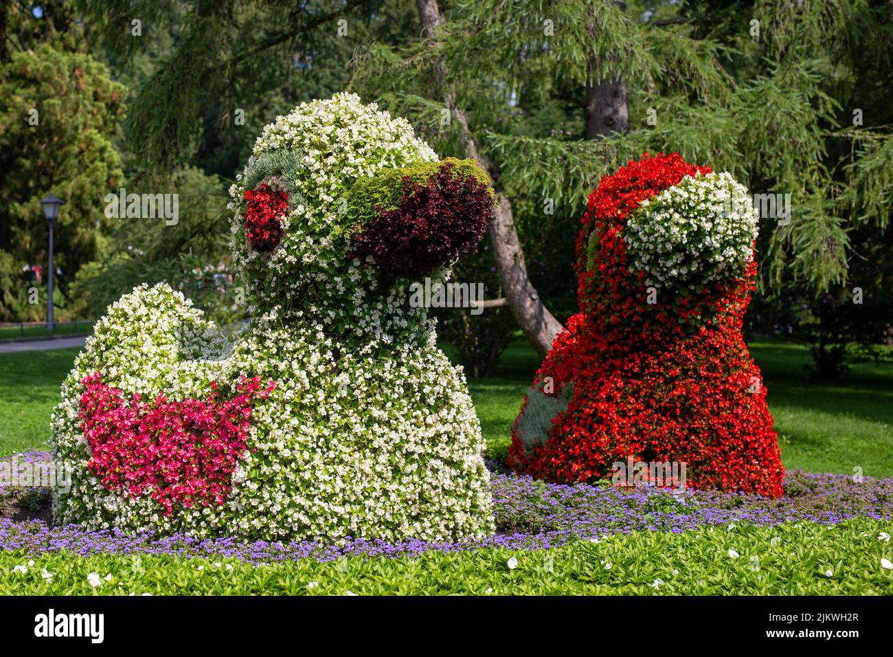 The flower ducks on the island of Mainau on Lake Constance Stock Photo ...