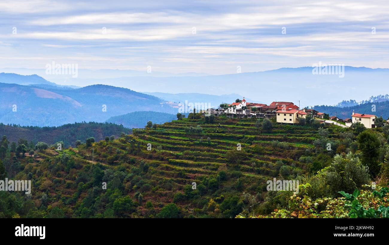 A green landscape with trees in the village of Lomba, Arouca, Portugal ...