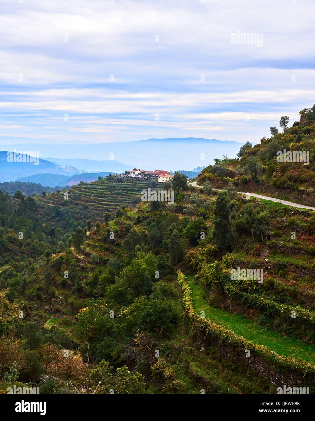 A green landscape with trees in the village of Lomba, Arouca, Portugal ...