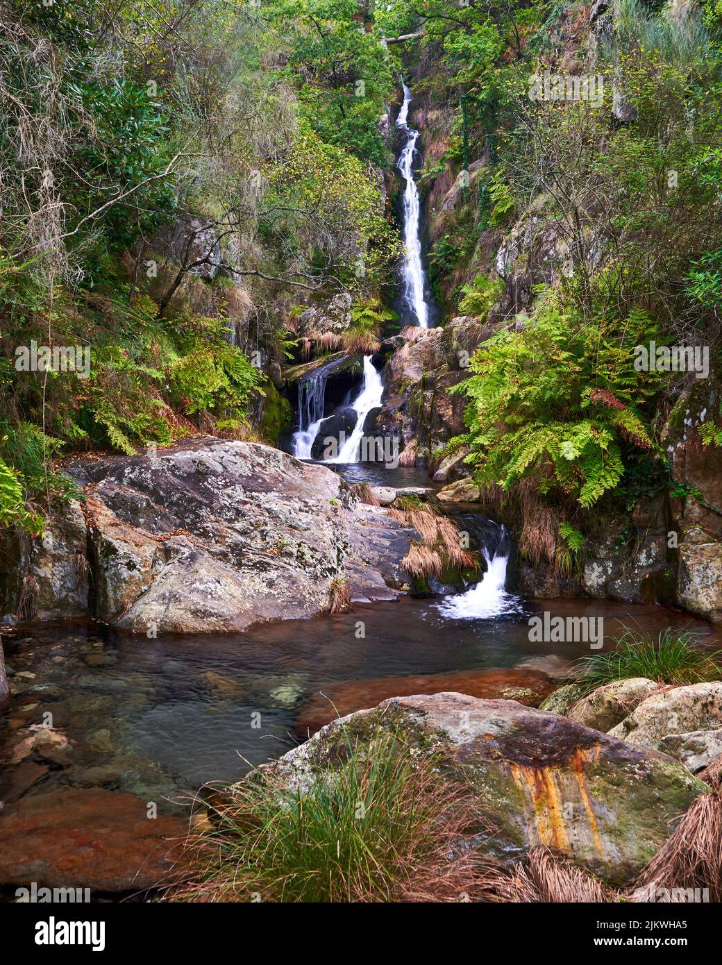 Aroes hi-res stock photography and images - Alamy