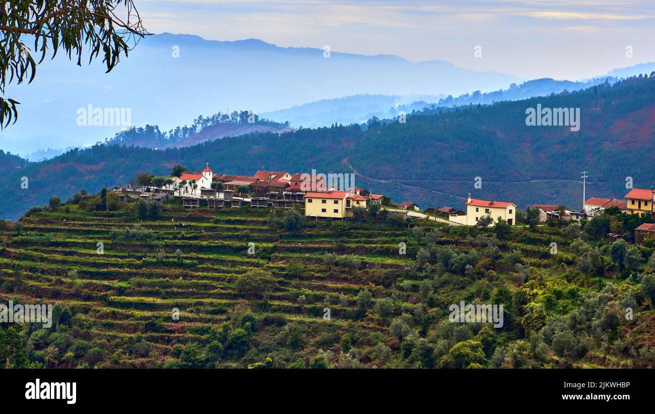 A green landscape with trees in the village of Lomba, Arouca, Portugal ...
