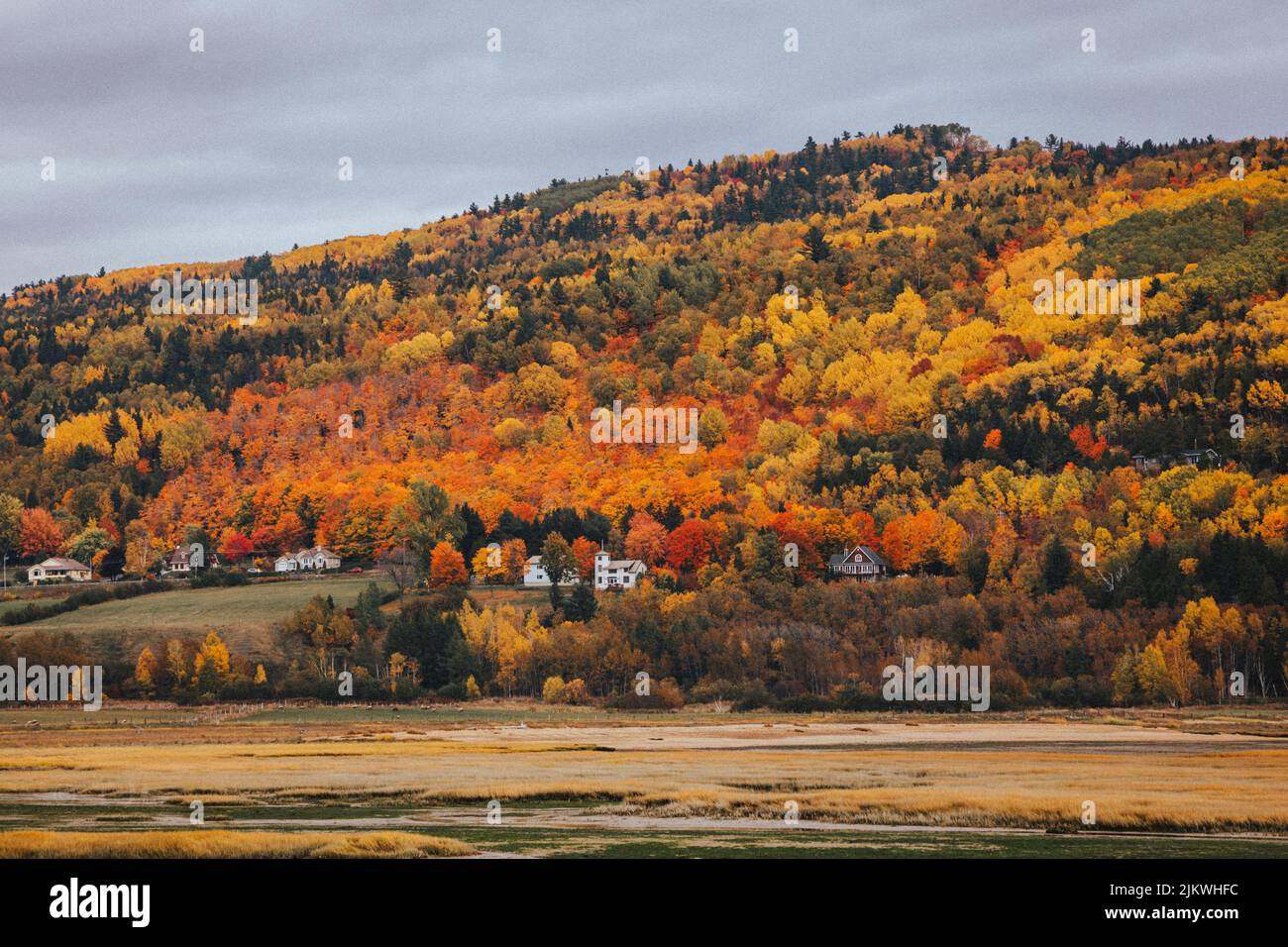 Hillside of orange hi-res stock photography and images - Alamy