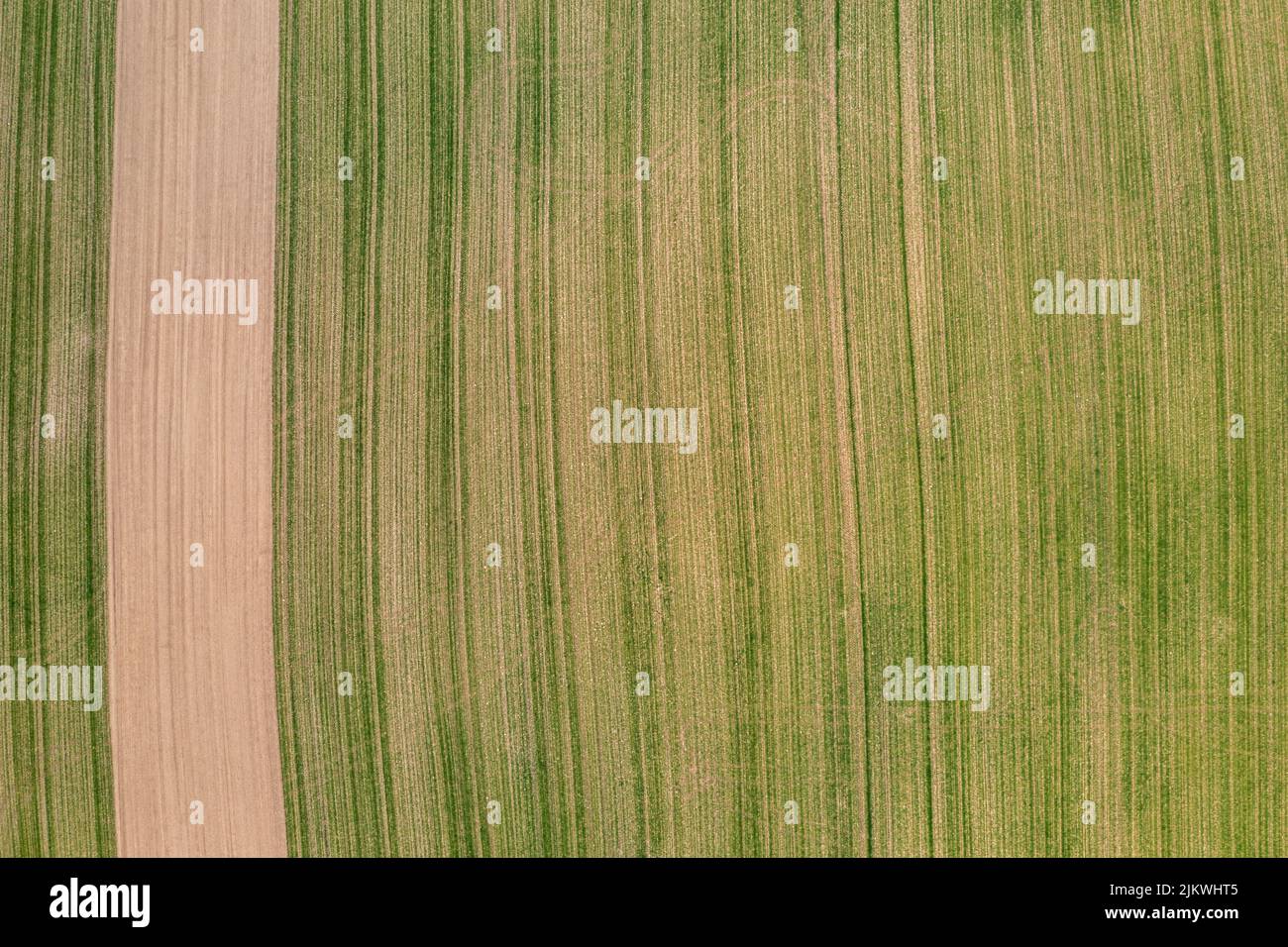 Simple green field photographed from the air in spring Stock Photo - Alamy