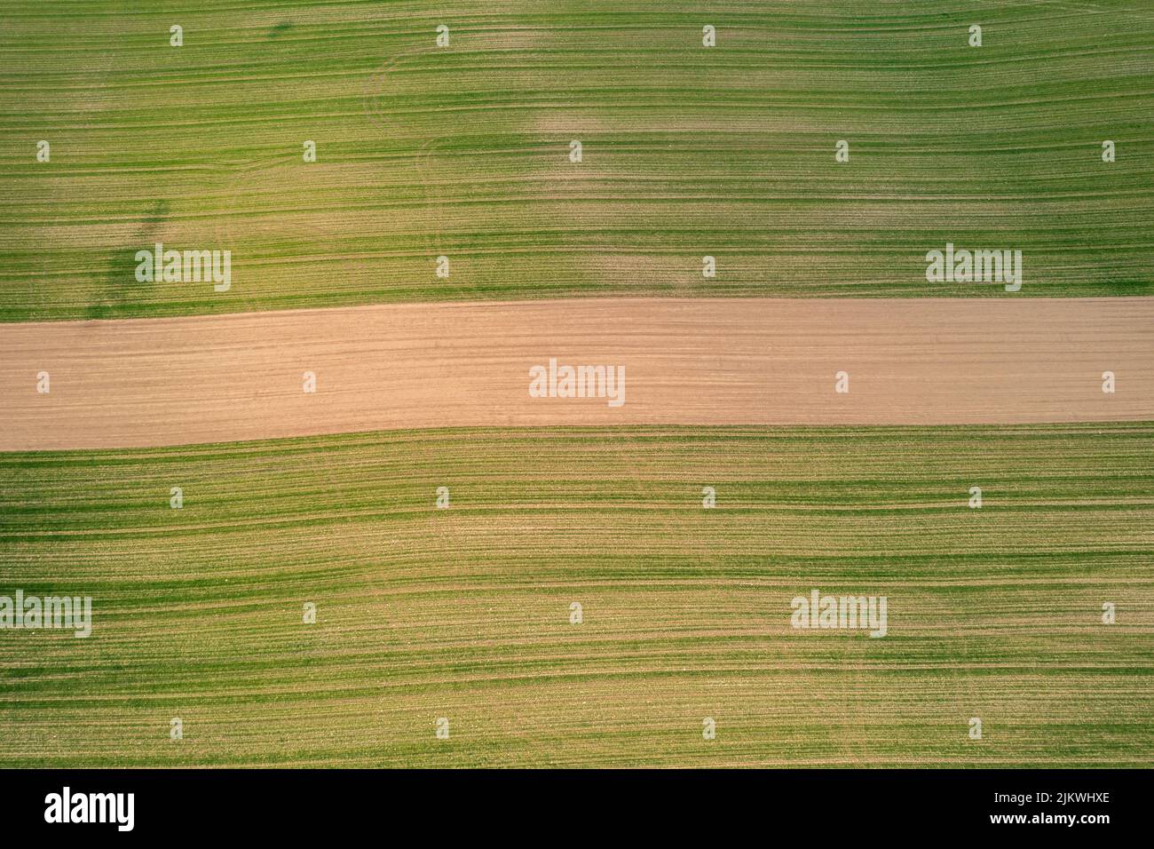 Simple green field photographed from the air in spring Stock Photo - Alamy