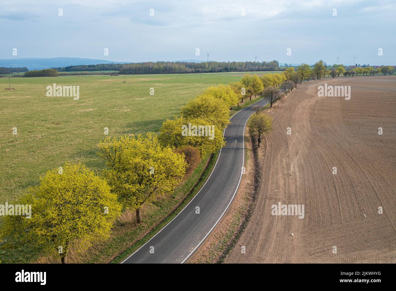 Aerial view on a road between fields with trees along in the spring ...
