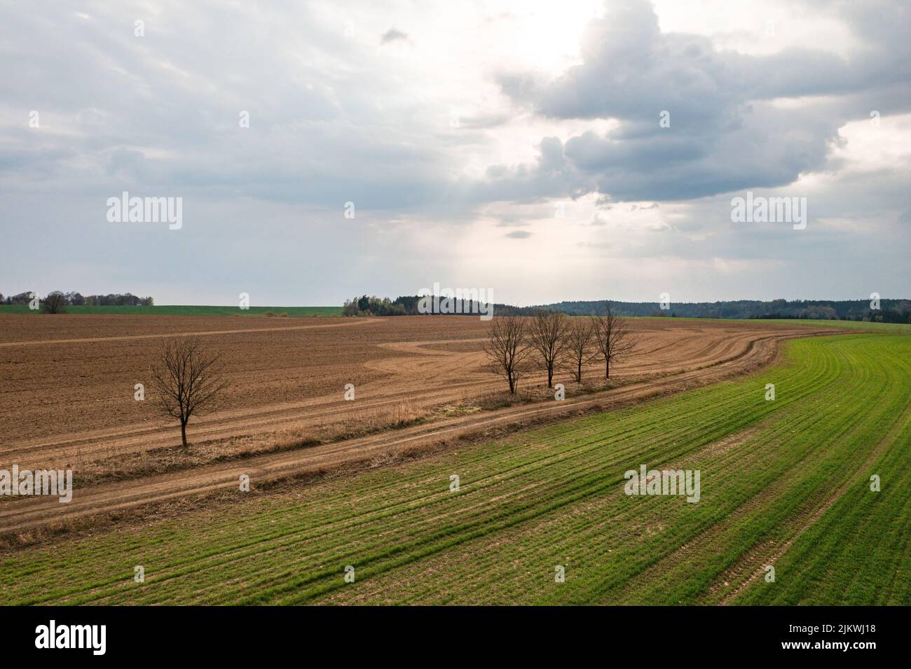 Spring fields viewed from the air, with trees, no people, drone photo ...