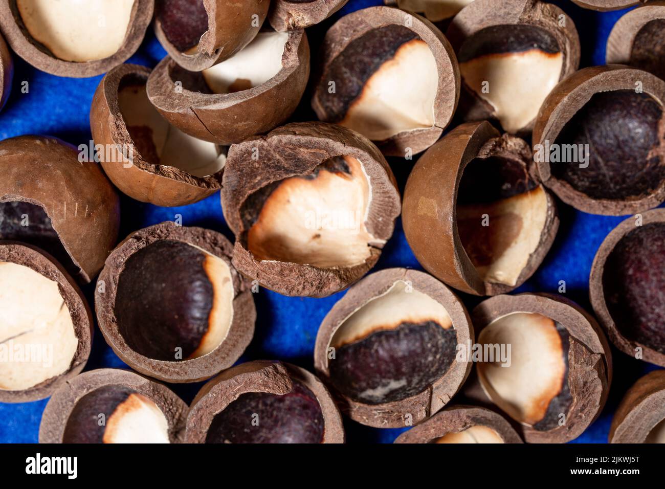 Nut shells hi-res stock photography and images - Alamy