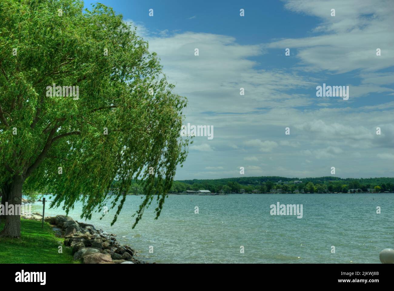 Big tree at the beach hi-res stock photography and images - Alamy
