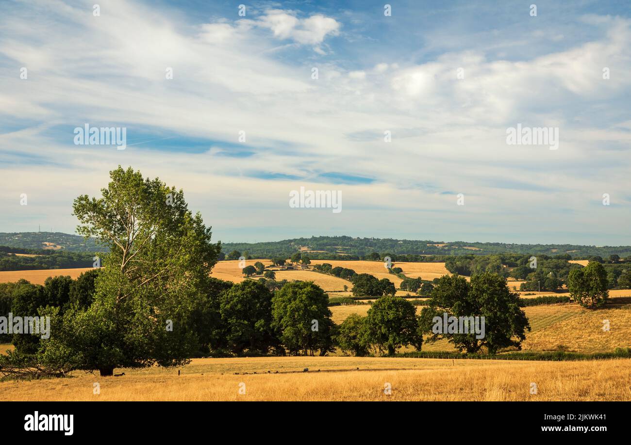 Broad field of view hi-res stock photography and images - Alamy