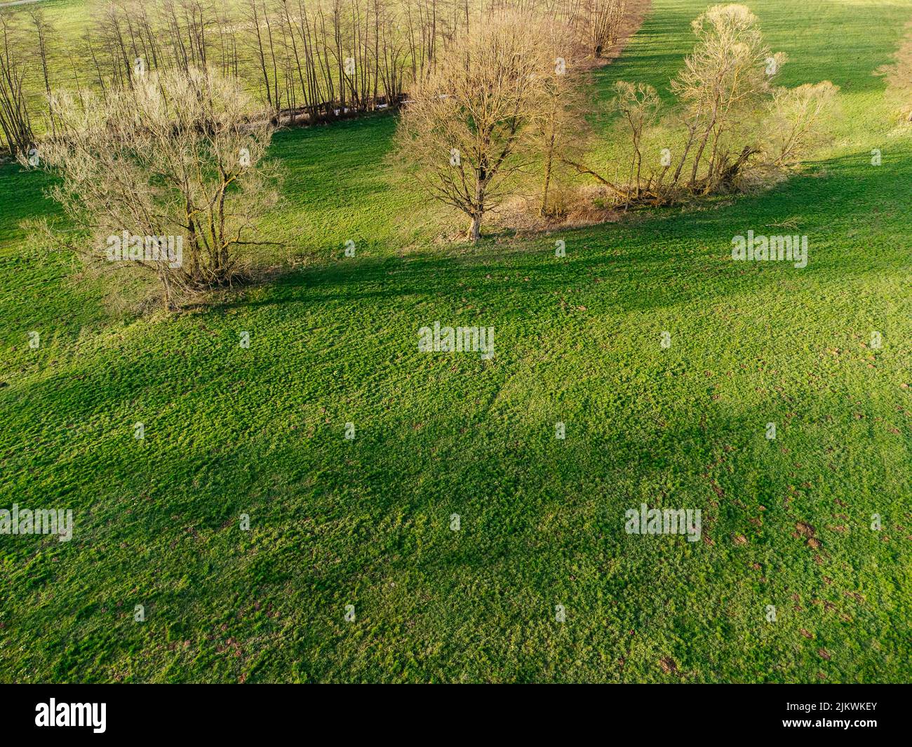 An aerial drone shot of a country landscape with trees and green lands ...