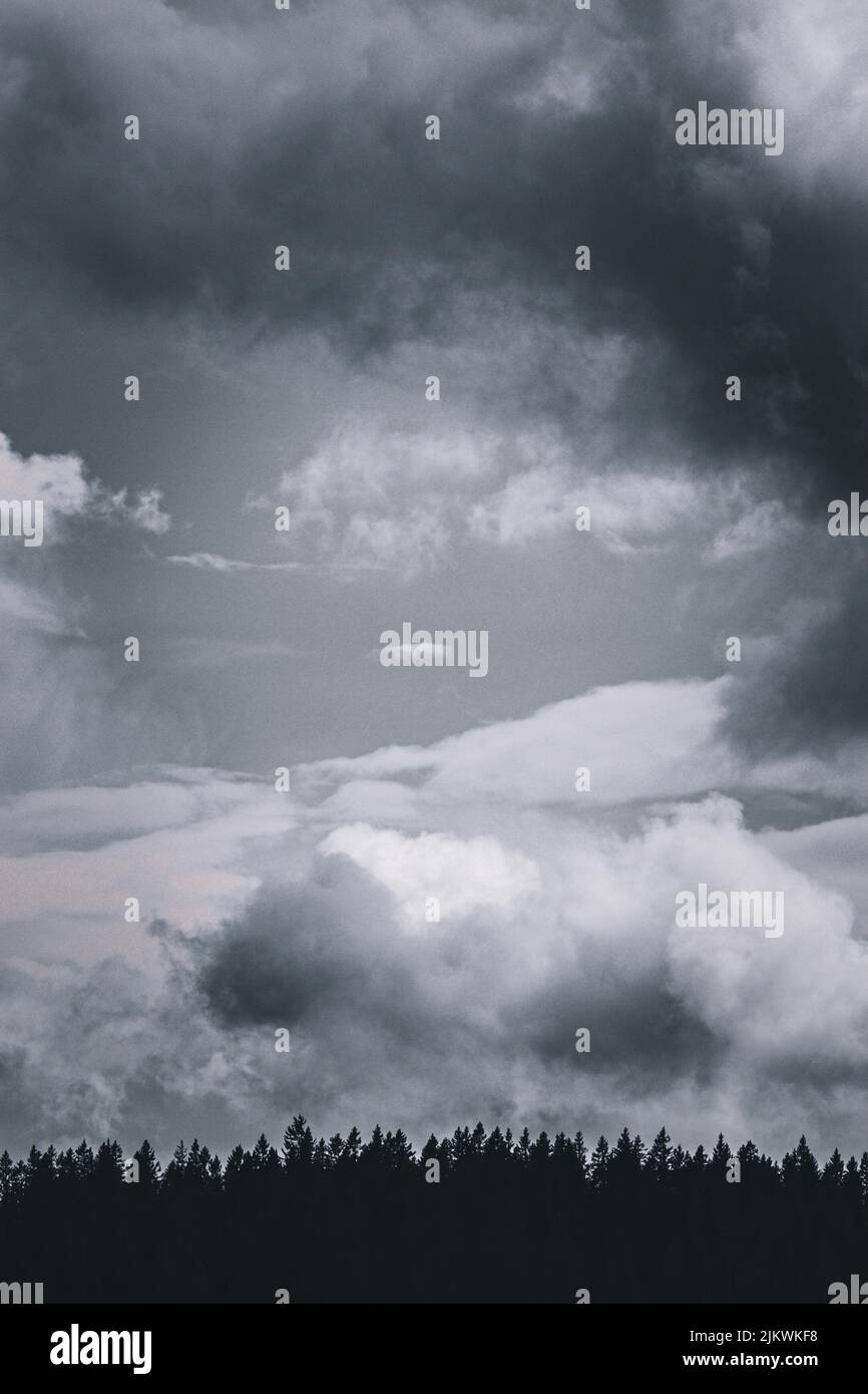 A breathtaking scenery of the Black forest under a dramatic cloudy sky ...