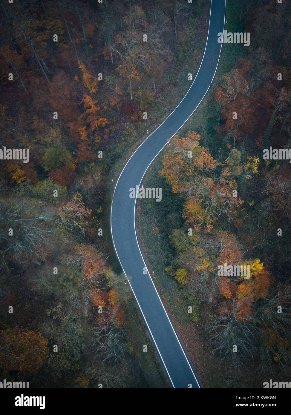 An aerial top view of a long wavy road in the middle of a dark colorful ...