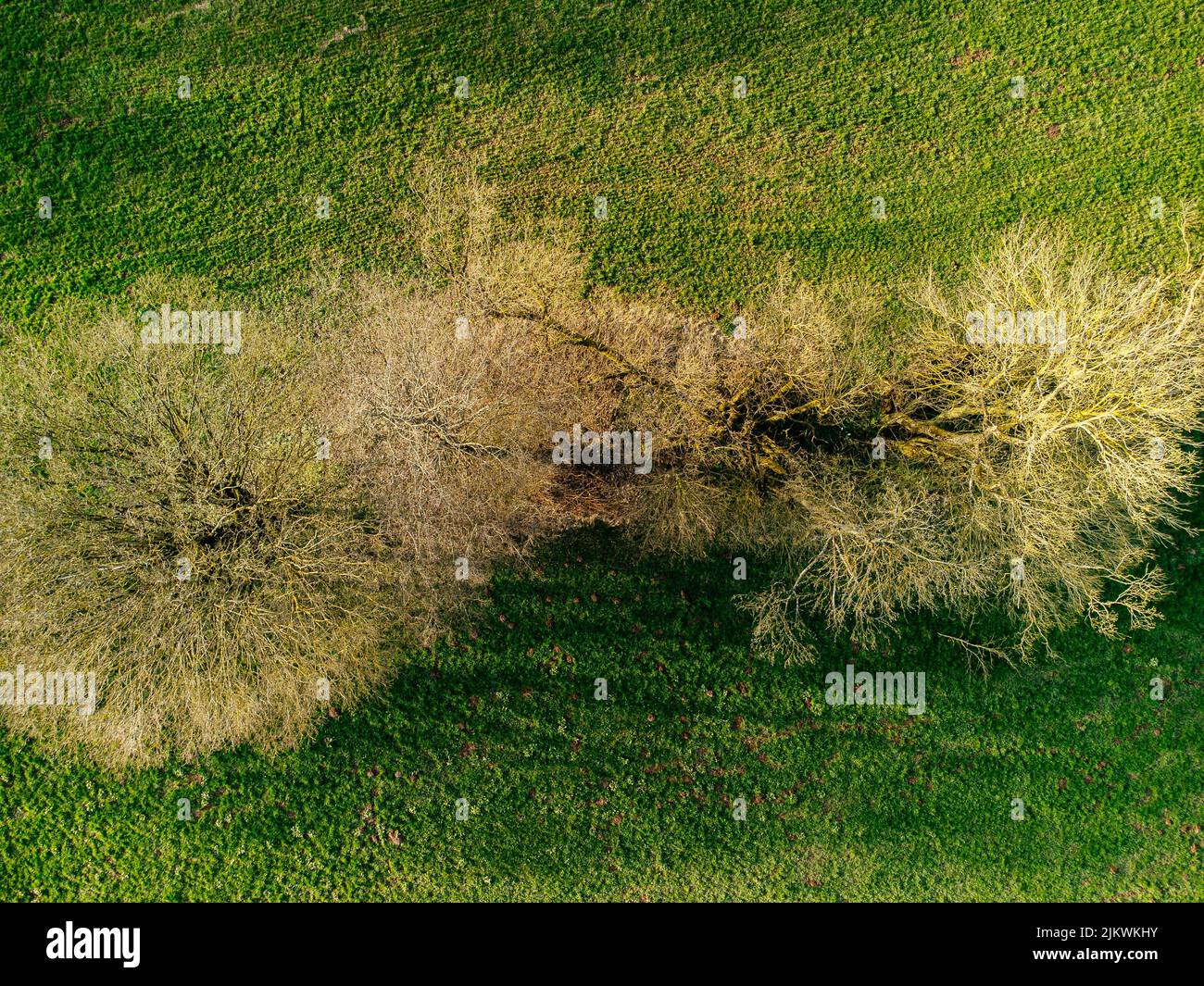 An aerial top view of a country landscape with trees and green lands ...