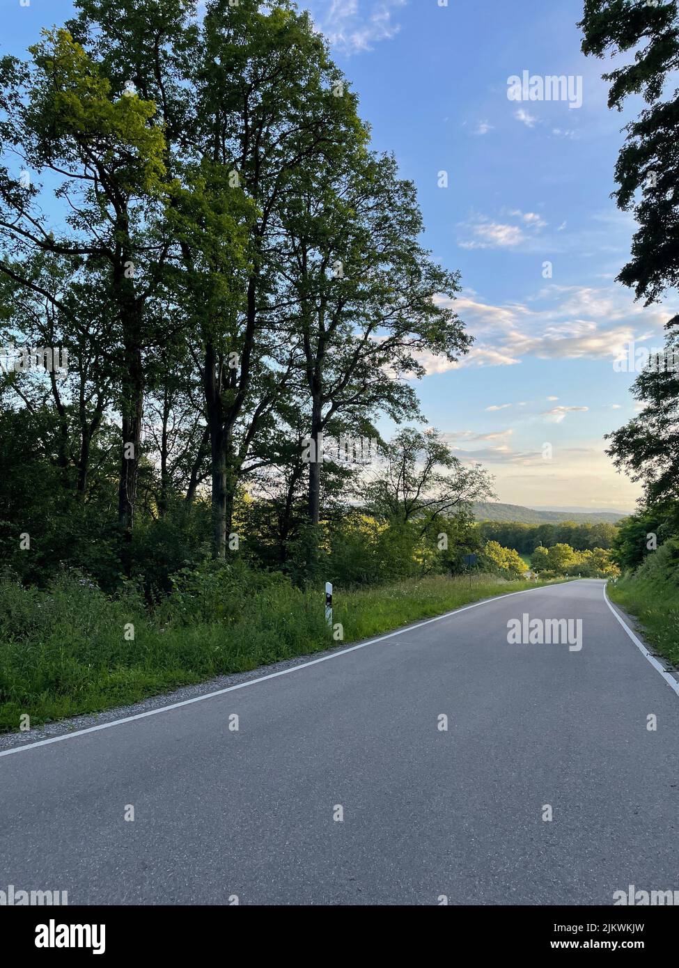 A beautiful view of an asphalt road in the middle of the forest on a ...