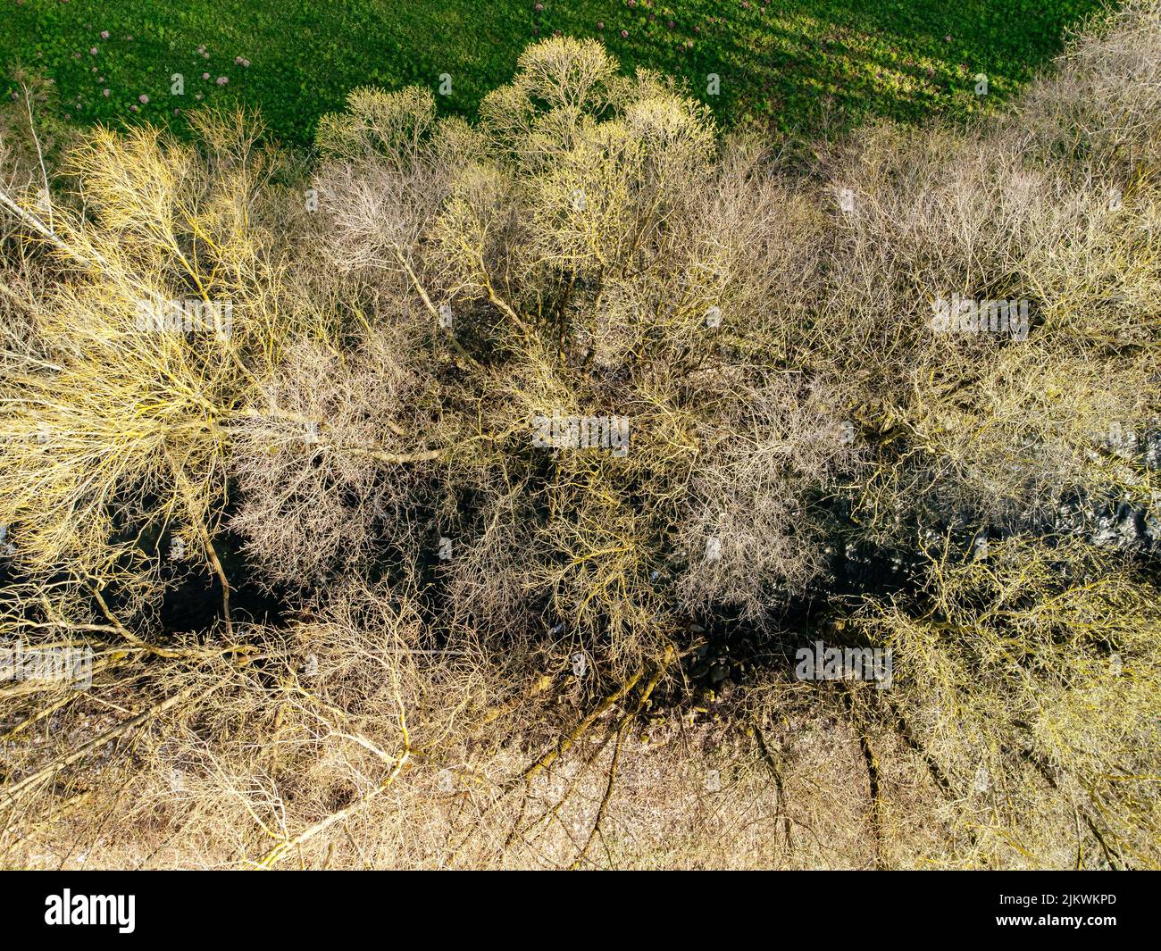 An aerial top view of a country landscape with trees and green lands ...