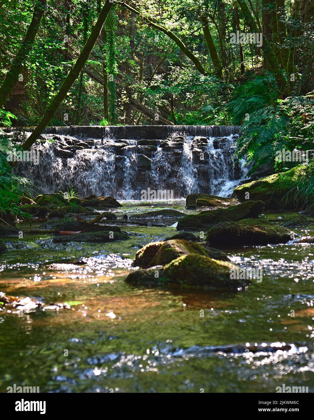 A nature waterfall water rocks scenery river tributary wilderness ...