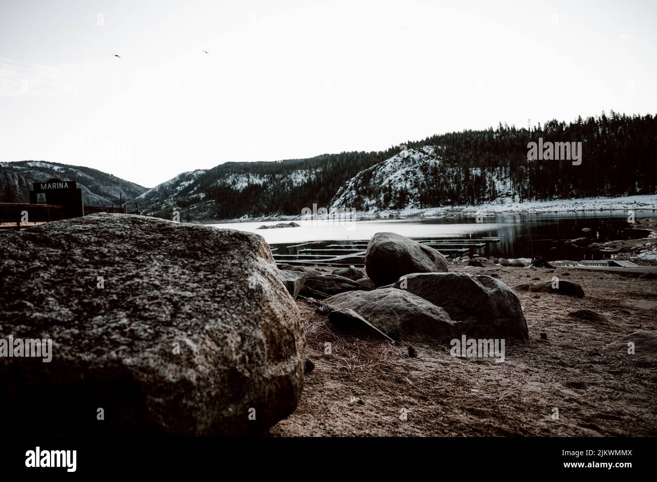 An Osprey flying over a lake in the high country of California Stock ...