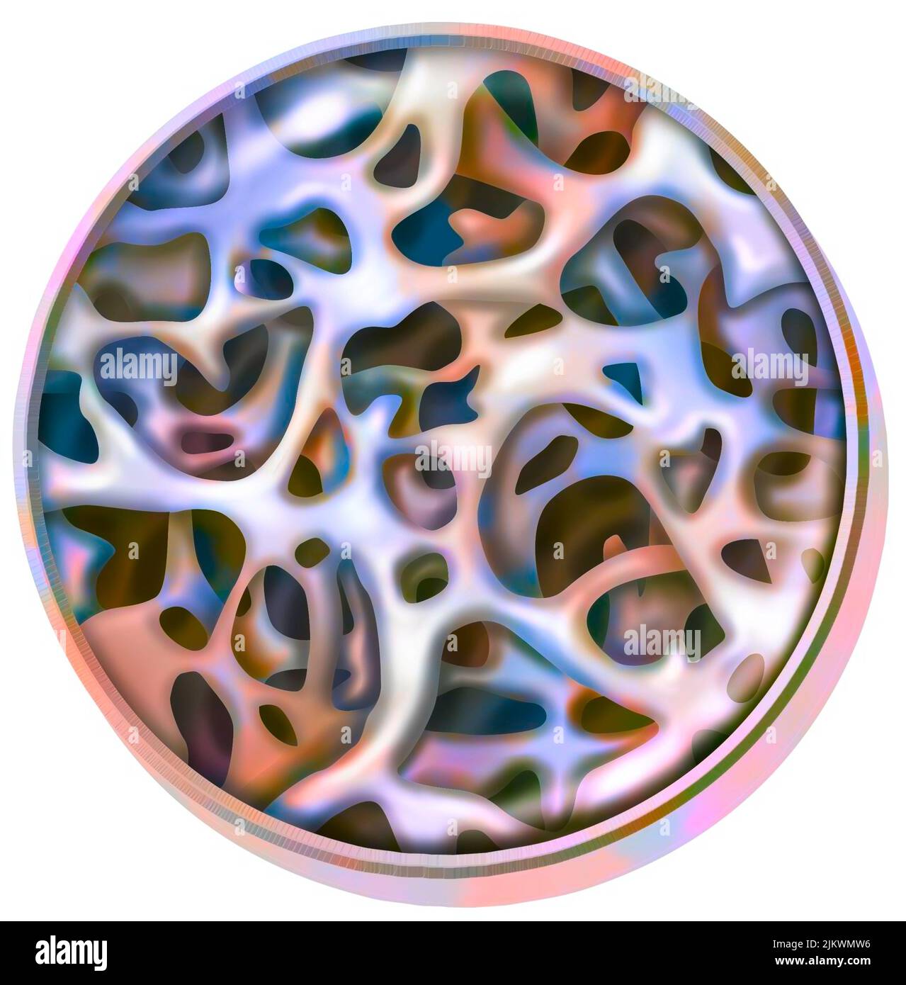 Healthy bone structure made up of compact, spongy tissue Stock Photo ...