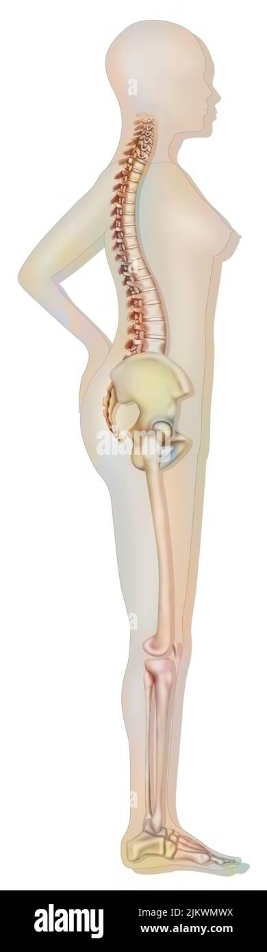 Full body woman hi-res stock photography and images - Alamy