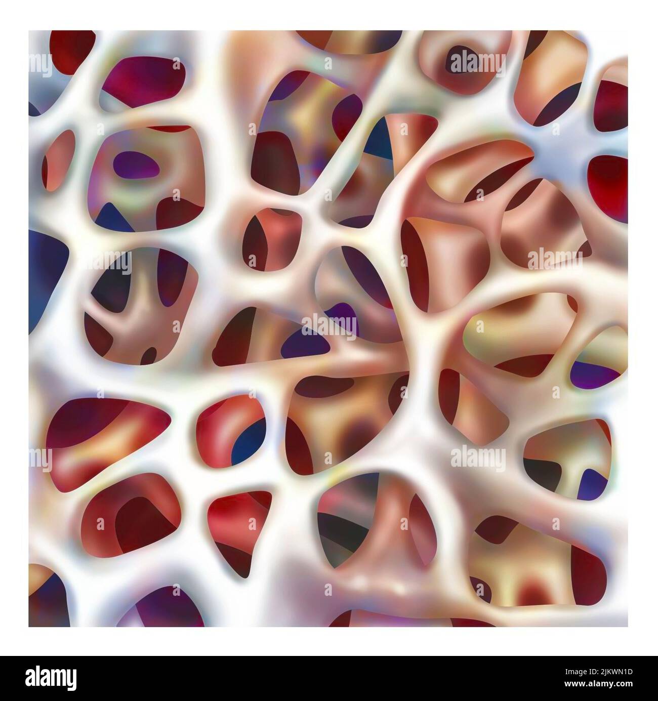 Bone structure: the structure of a healthy spongy bone Stock Photo - Alamy