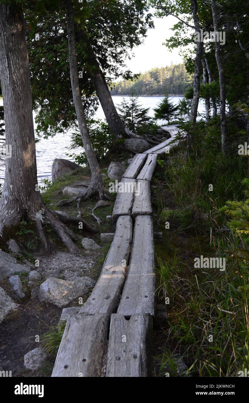A footpath made with wooden decks leading to the coast of the sea Stock ...