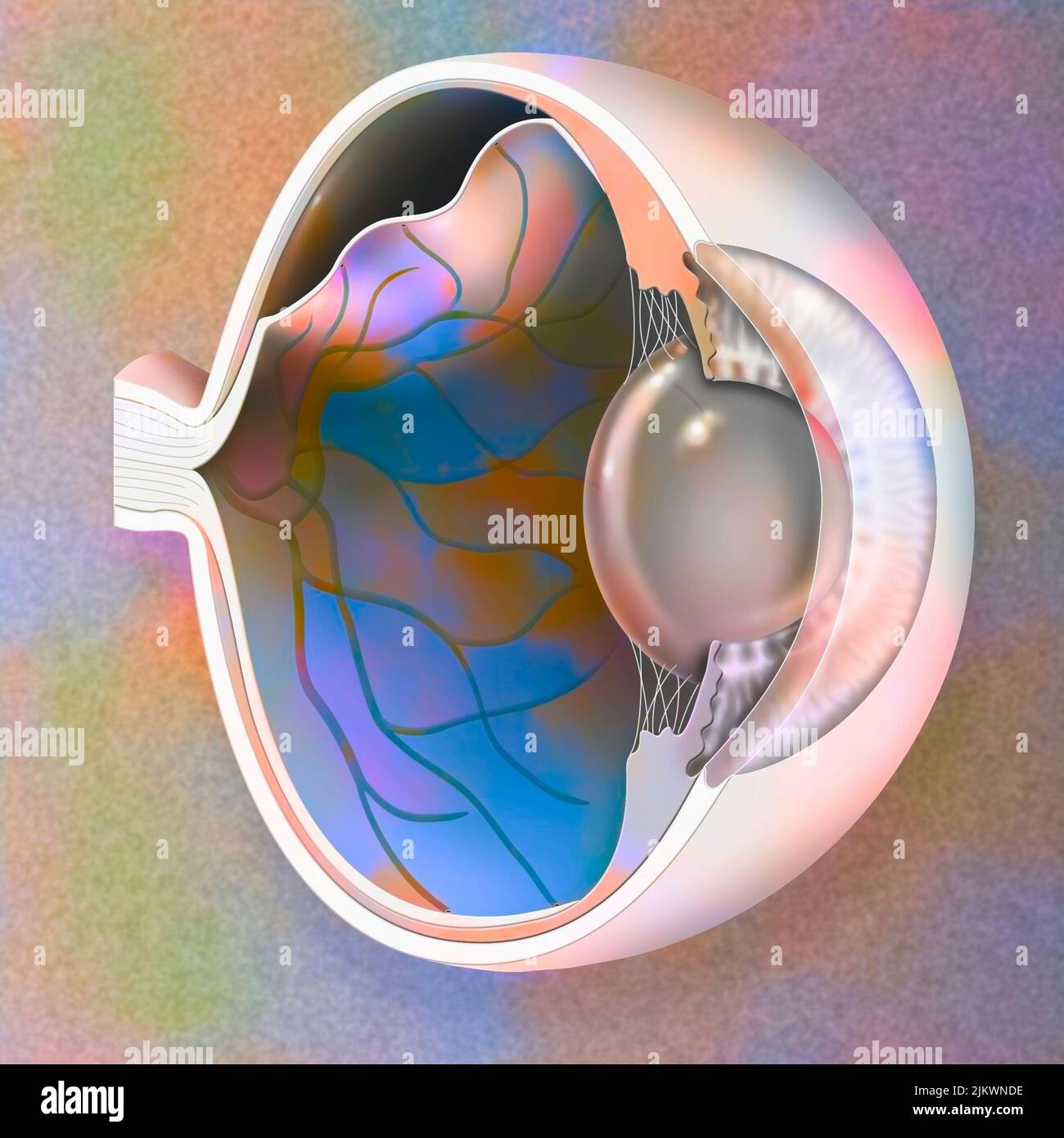 Human eye retina hi-res stock photography and images - Alamy