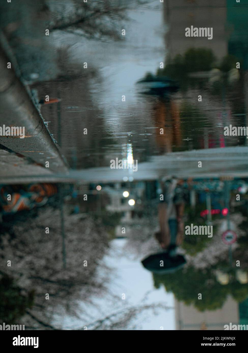 A vertical closeup of the puddle after rain. TJU, Pennsylvania Stock ...
