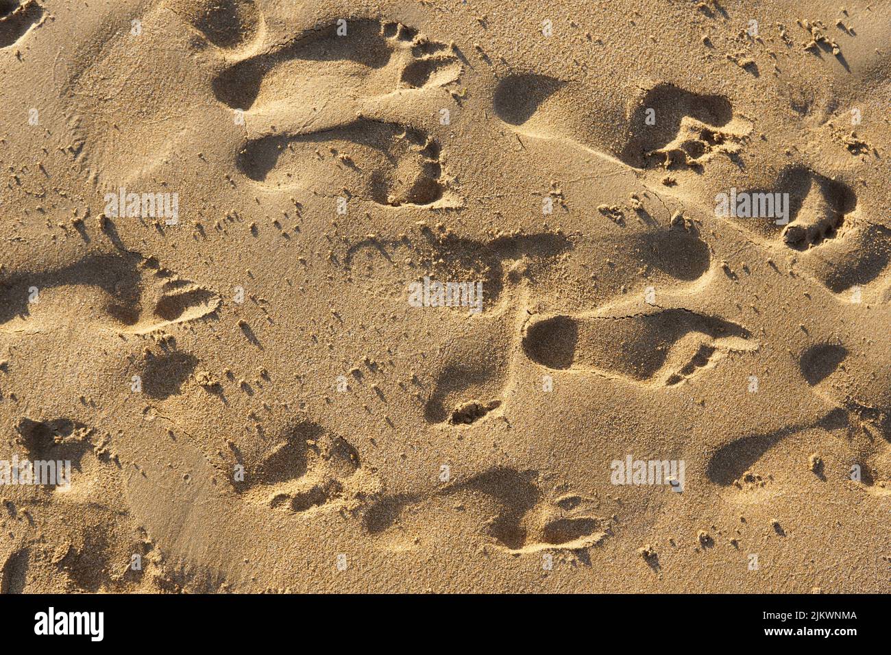 A background of textured sand footprints Stock Photo - Alamy