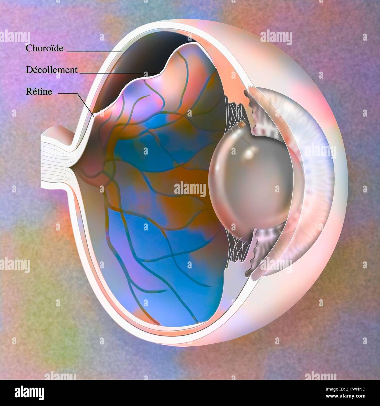 Human eye retina hi-res stock photography and images - Alamy