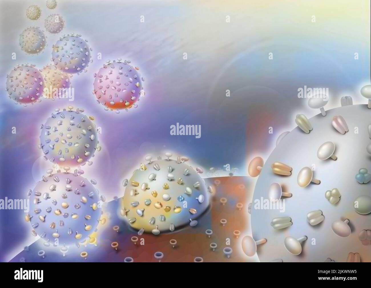 Membrane cell attach hi-res stock photography and images - Alamy