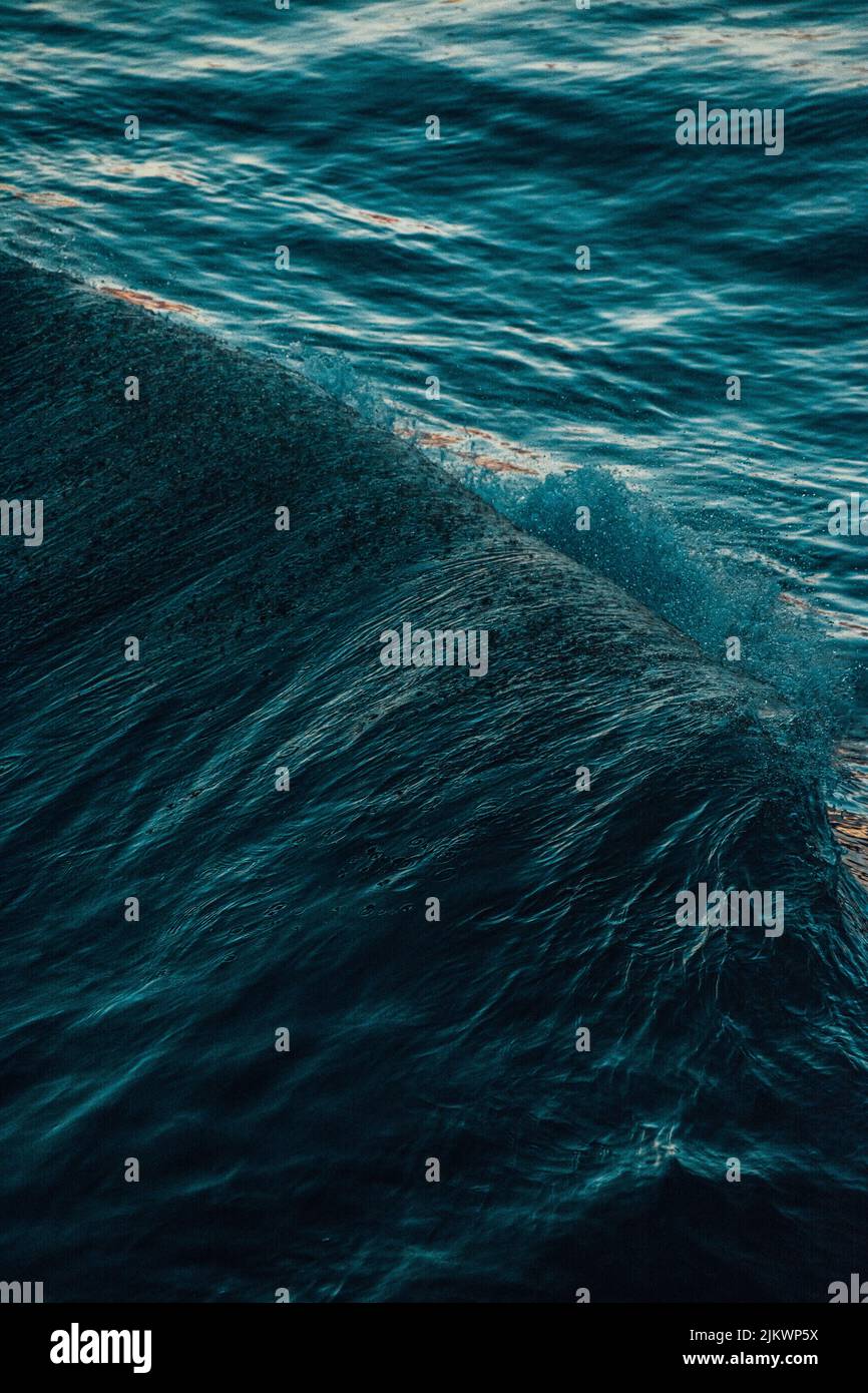 Summer vertical blue hi-res stock photography and images - Alamy