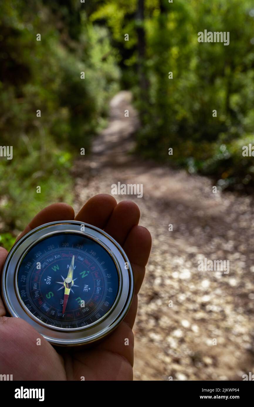 man's hand holding a compass in the forest with a leafy trail in the ...