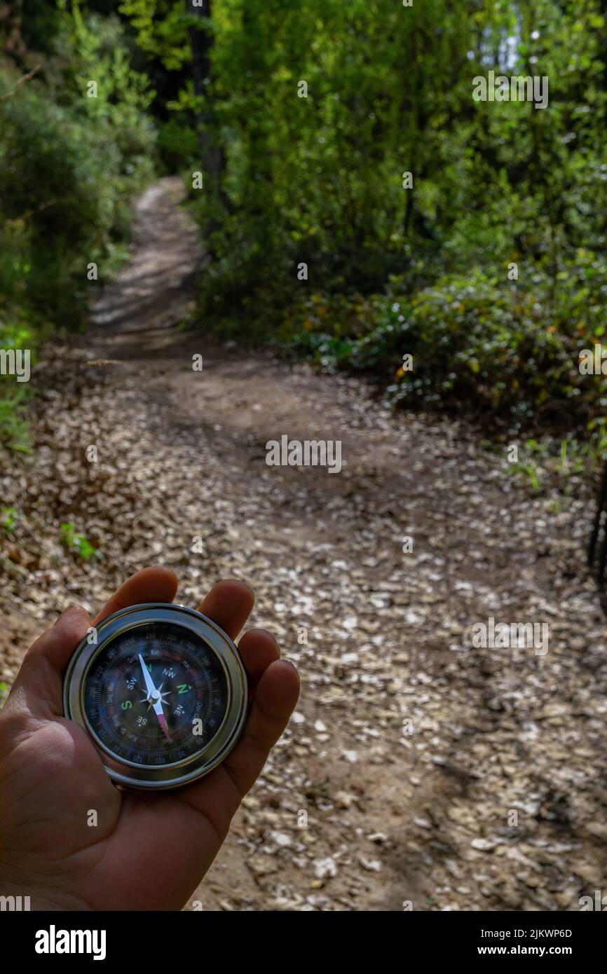 man's hand holding a compass in the forest with a leafy trail in the ...