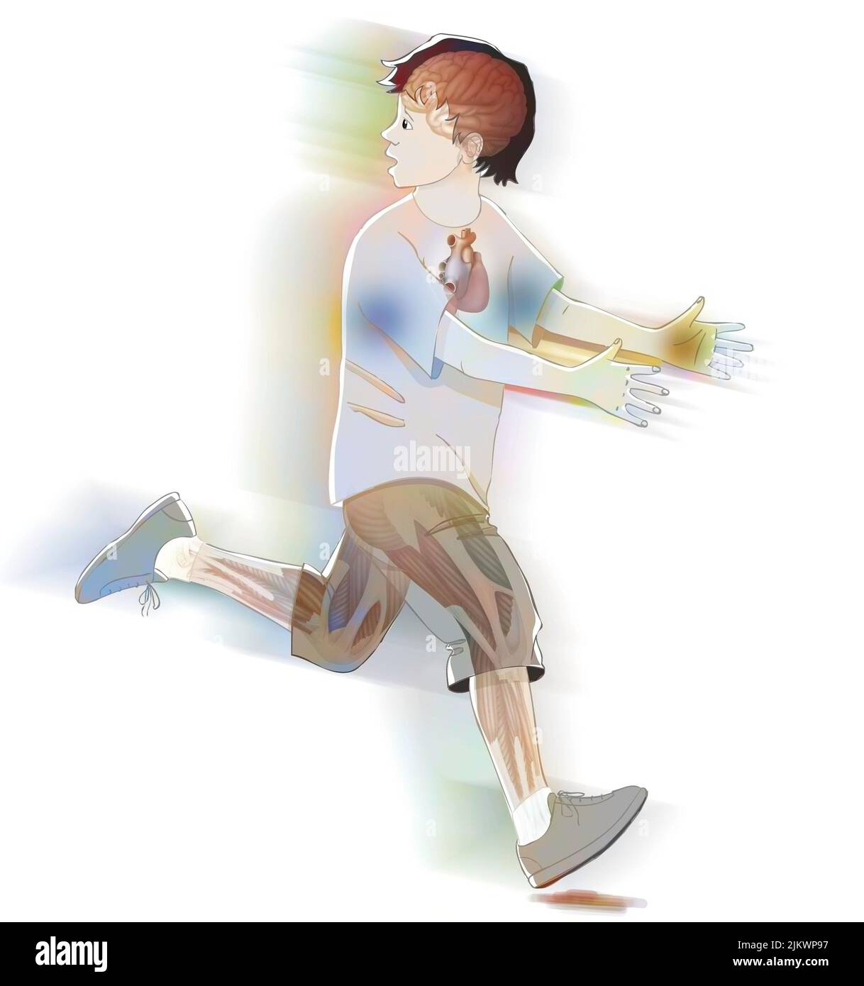 Different reactions of the body to fear, to stress Stock Photo - Alamy