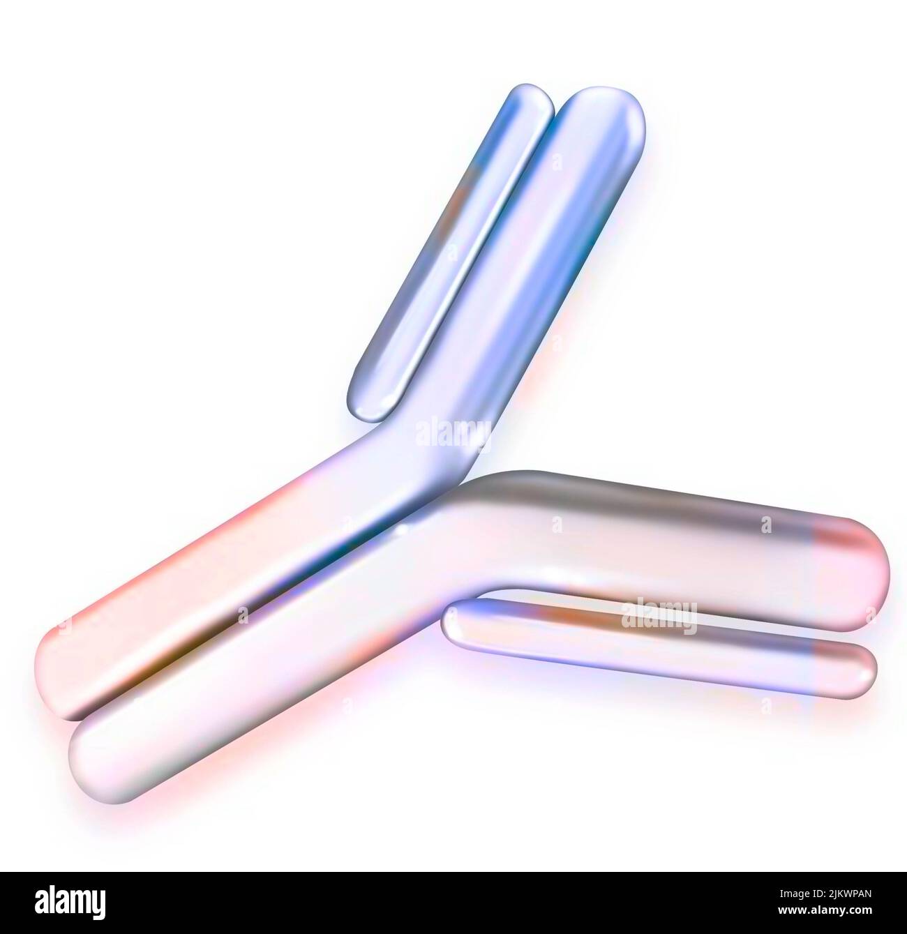 Binding site Cut Out Stock Images & Pictures - Alamy