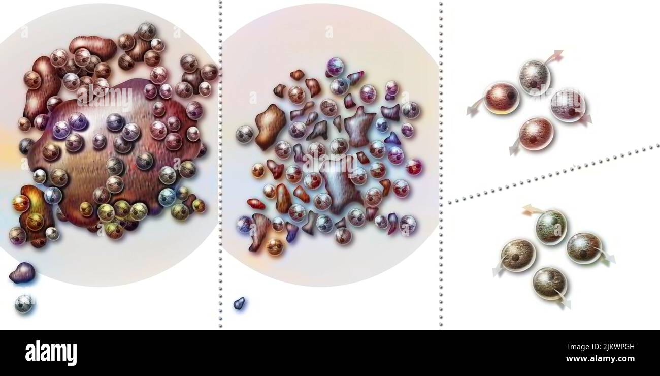 Biodegradation of biodegradable materials thanks to microorganisms ...