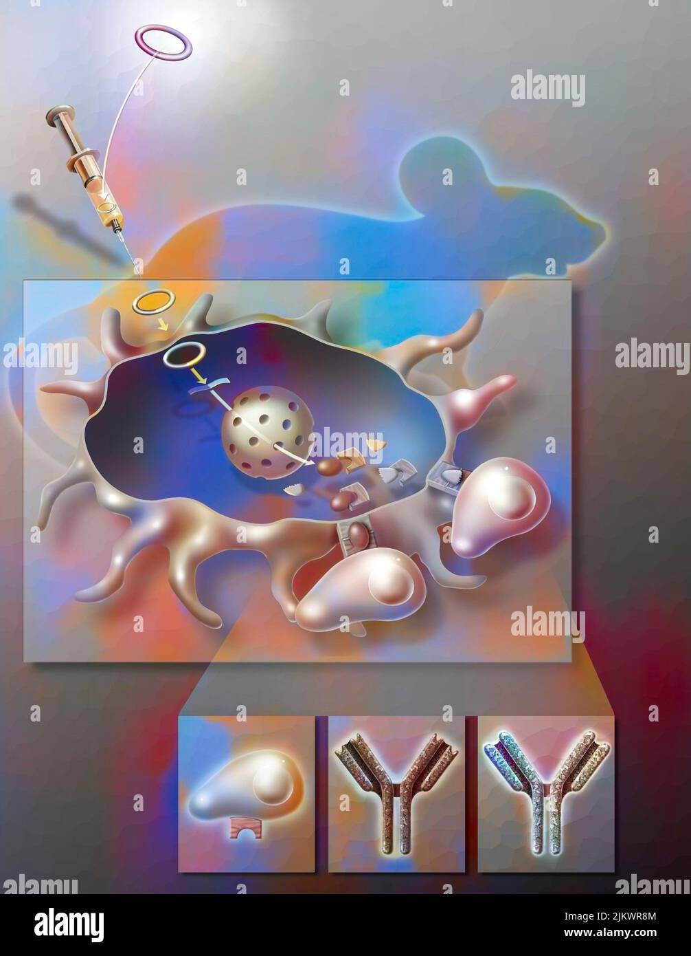 Lab mice scheme hi-res stock photography and images - Alamy