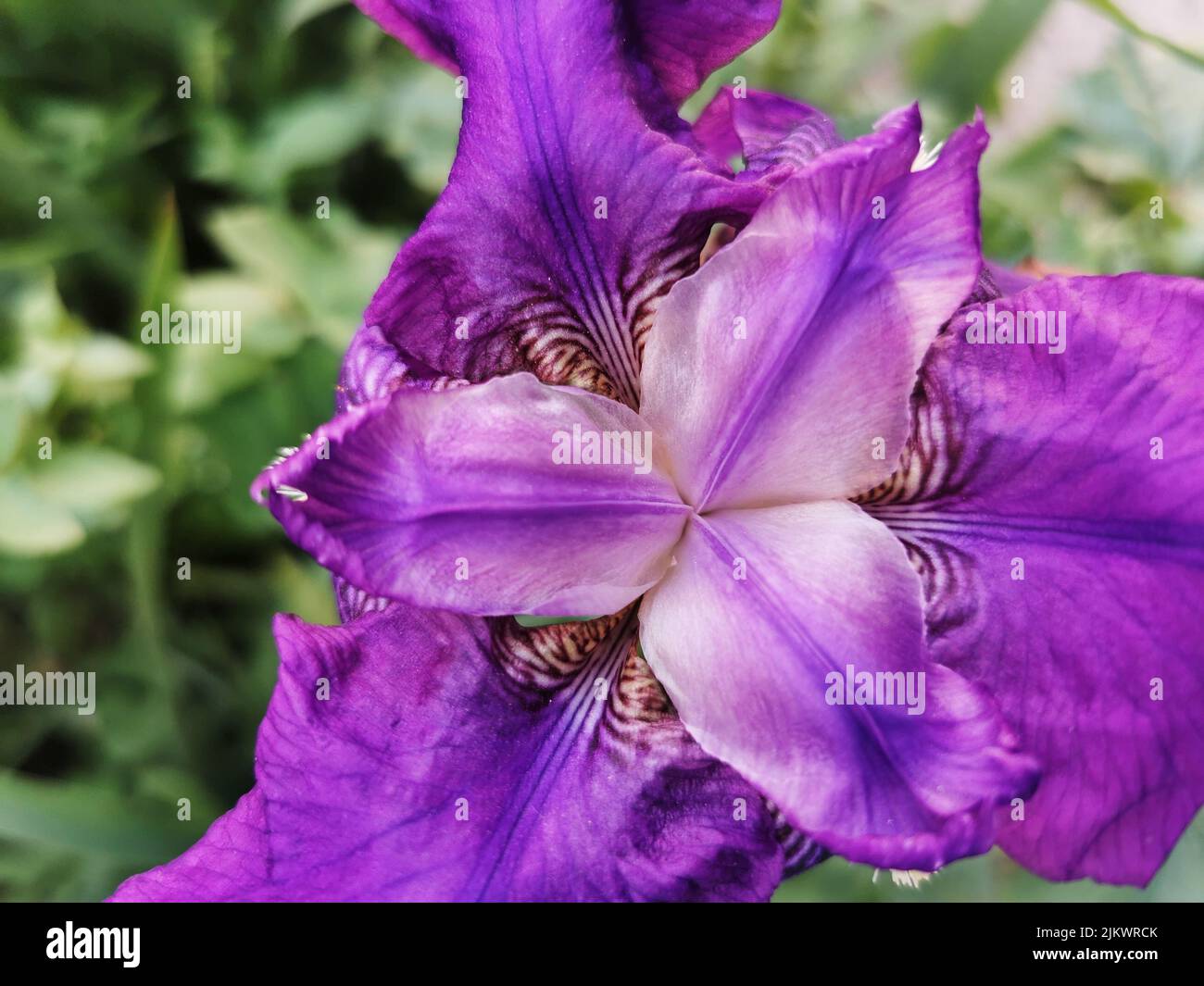 Parque floral hi-res stock photography and images - Alamy