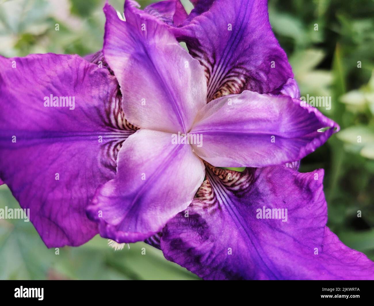 Parque floral hi-res stock photography and images - Alamy